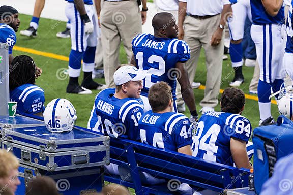 Colts bench editorial photo. Image of field, sideline - 16112241
