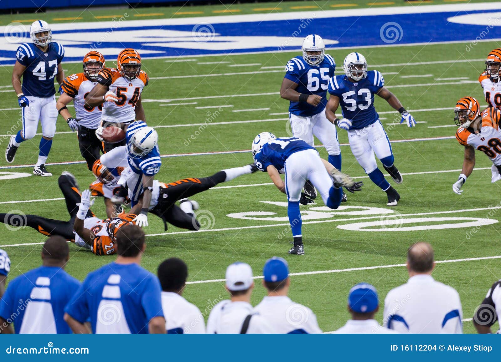Colts-Bengals Football Game Editorial Stock Image - Image of sport ...