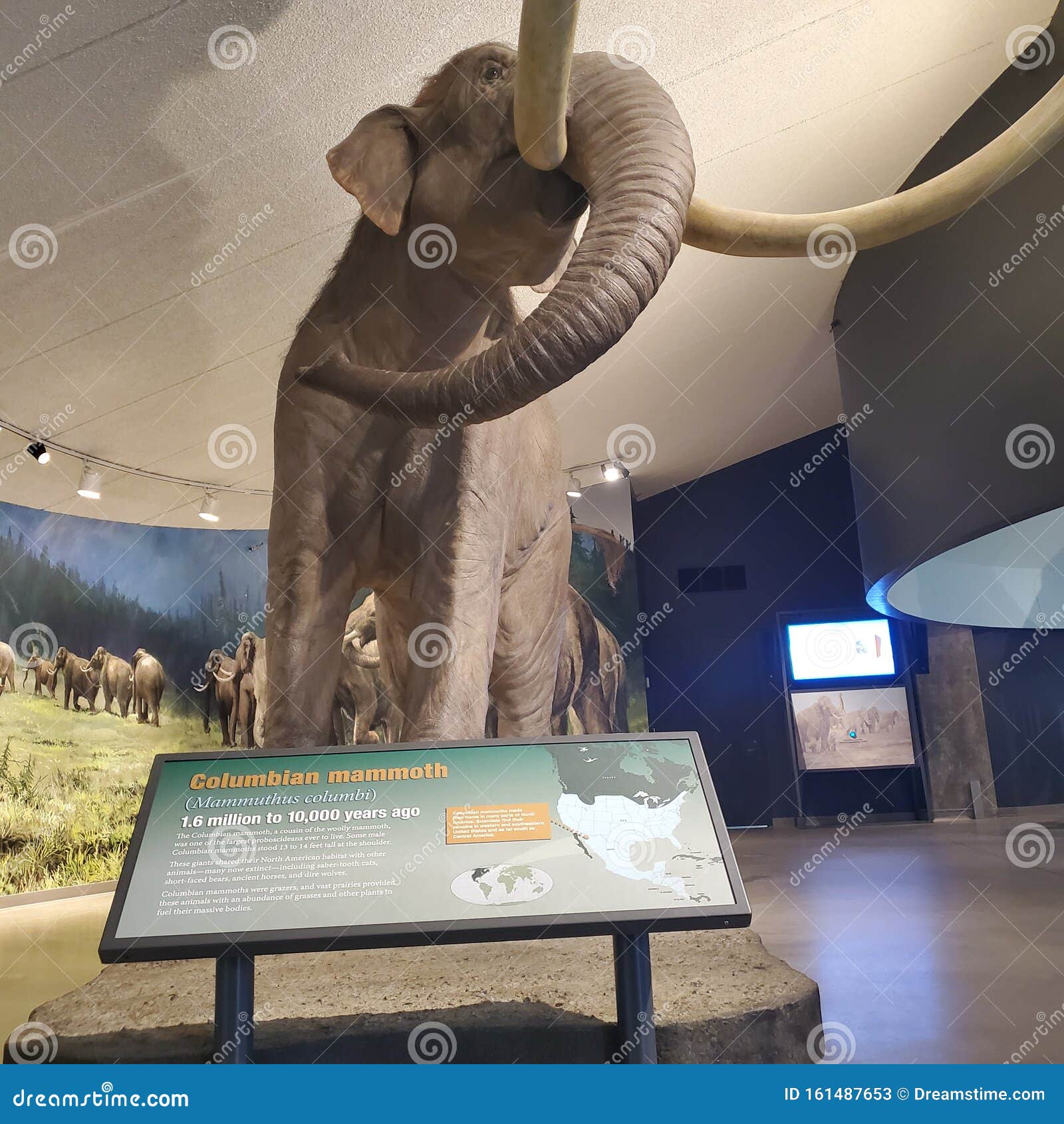 Columbia Mammoth La Brea Tar Pits Foto de archivo editorial - Imagen de ...