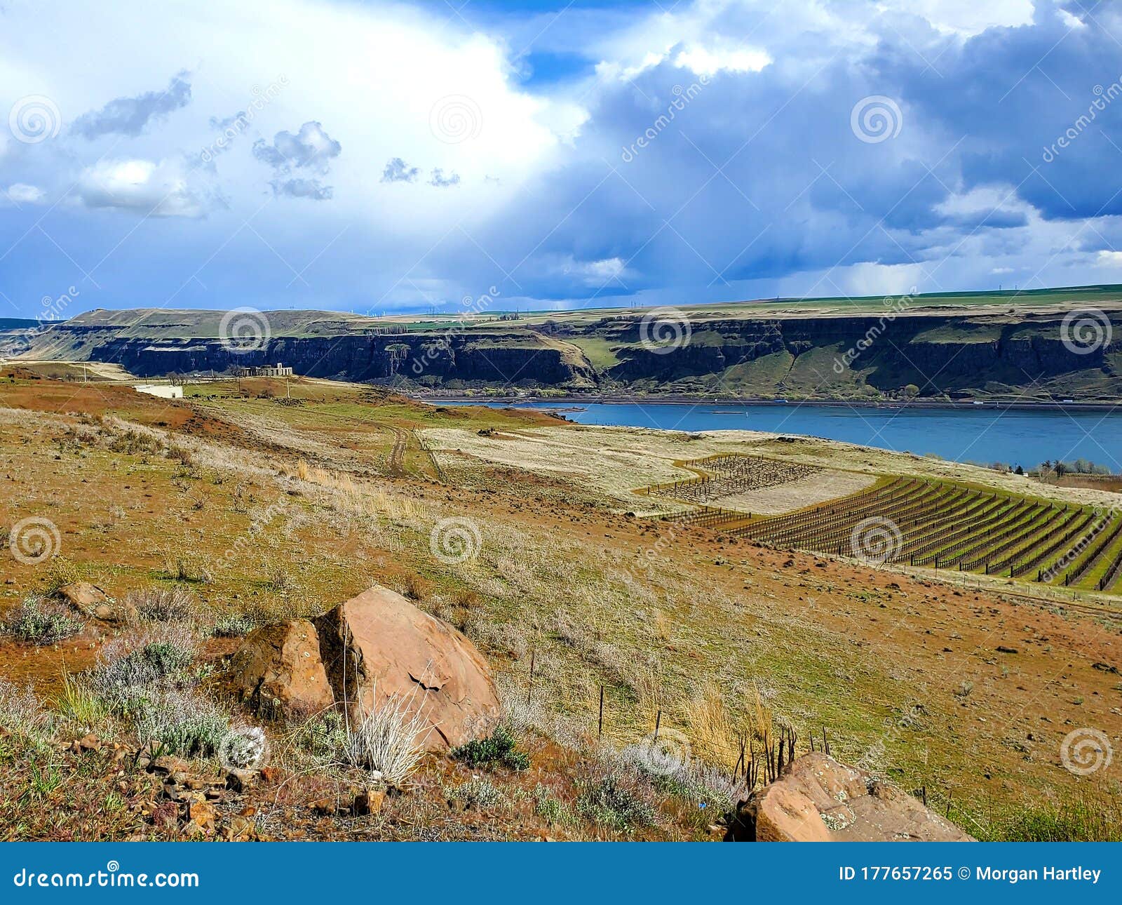 Columbia River Views stock image. Image of photographs - 177657265