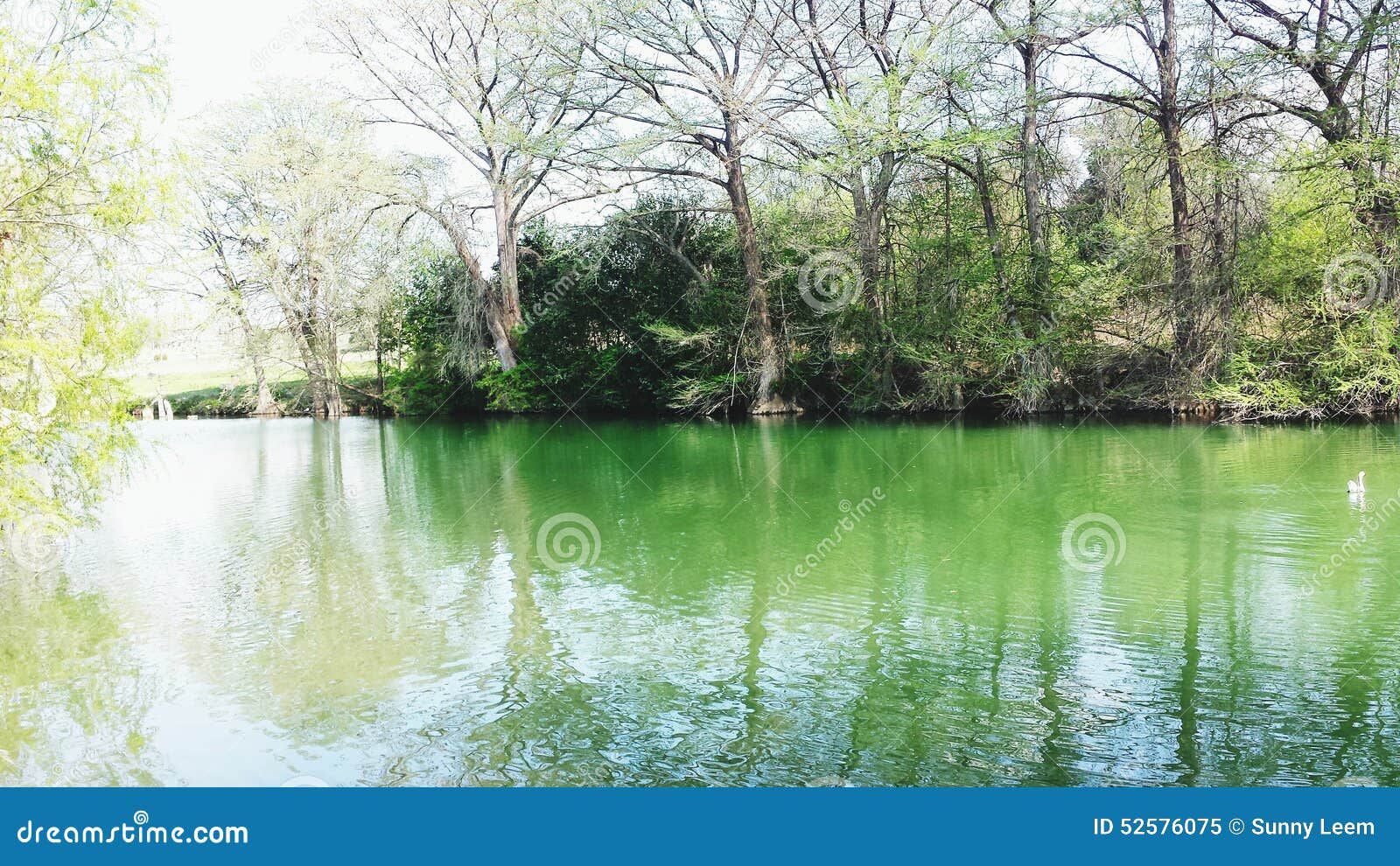 Columbus Texas stock image. Image of park, river, enjoy - 52576075
