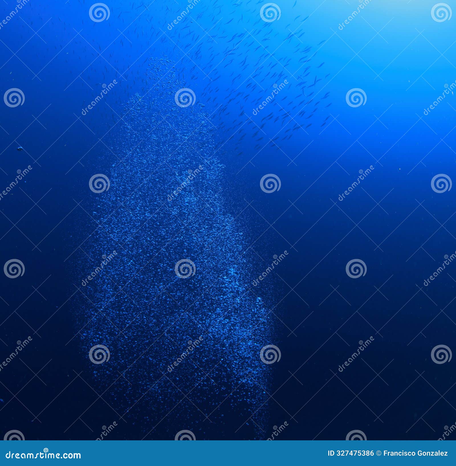 A Column of Bubbles Under Water Stock Photo - Image of bright, peaceful ...