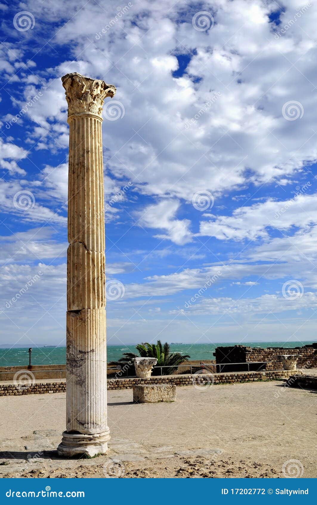 Column in Carthage stock photo. Image of classical, roman - 17202772