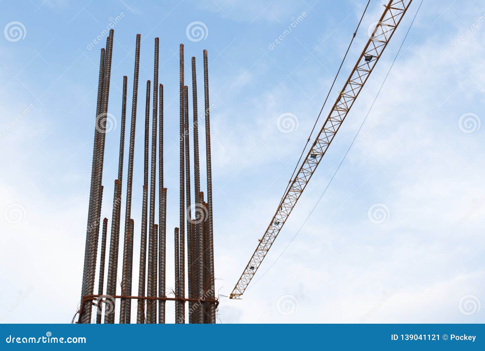 Deformed Bars For Structural Columns In Concrete. Reinforcing Steel ...