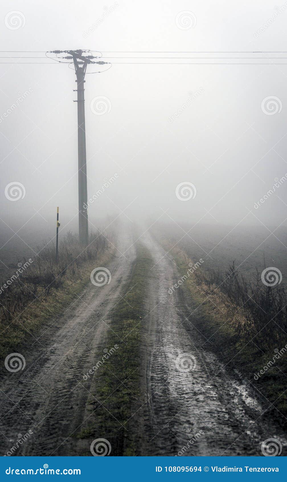 A Column with an Electric Line on a Muddy Field Path Emerging from the ...