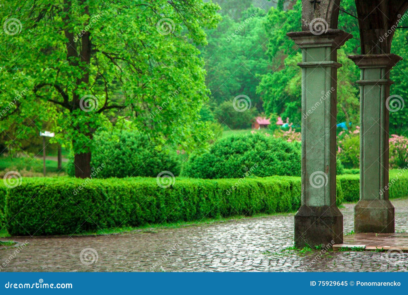 Column and green garden stock image. Image of tree, park - 75929645