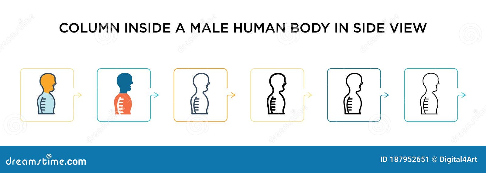 Column Inside A Male Human Body In Side View Outline Icon. Isolated ...