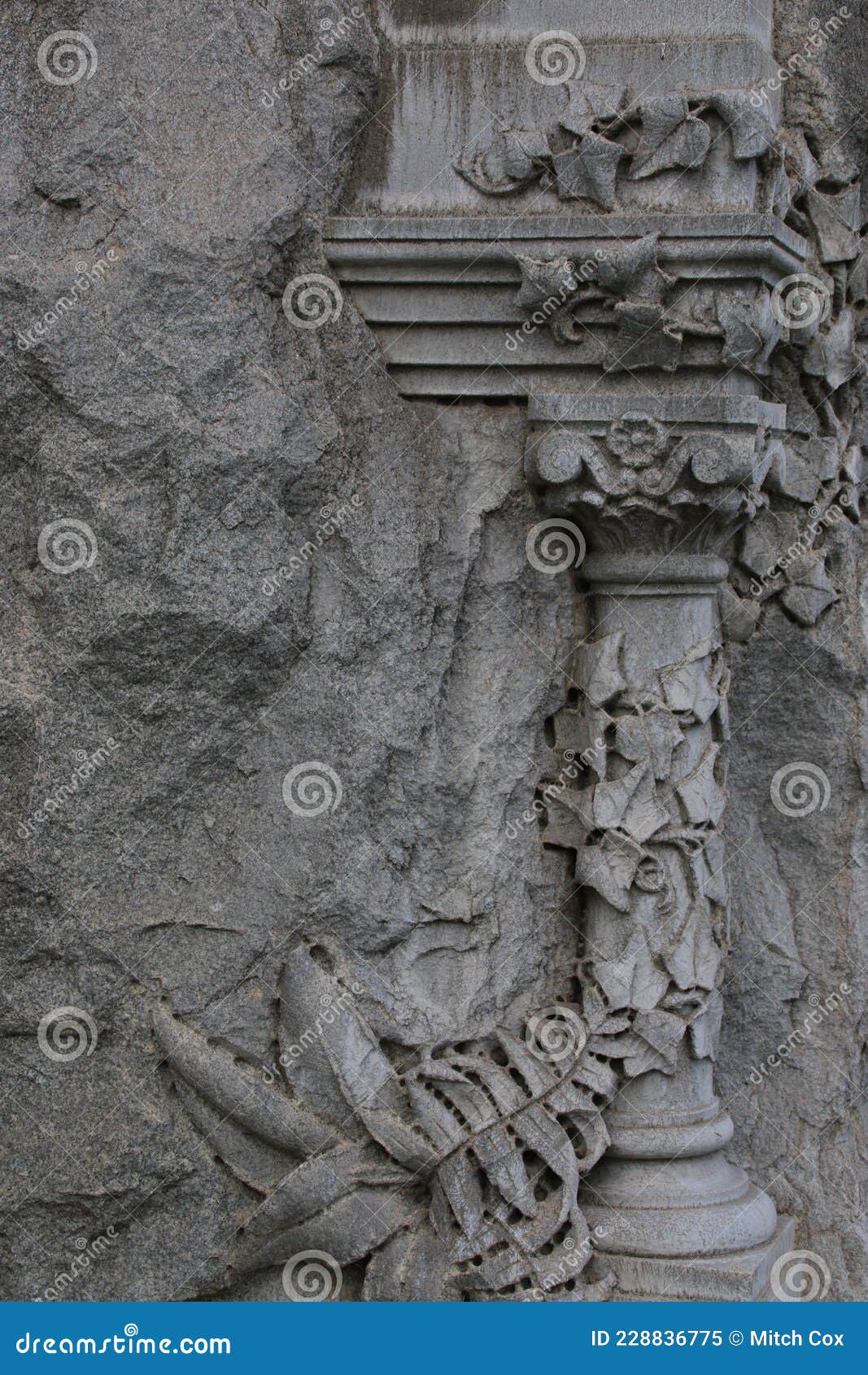 Column and Ivy stock image. Image of column, statue - 228836775