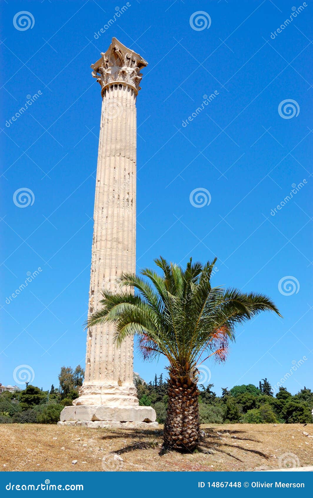 Column and Palm Tree, Athens Stock Photo - Image of olympic, warm: 14867448