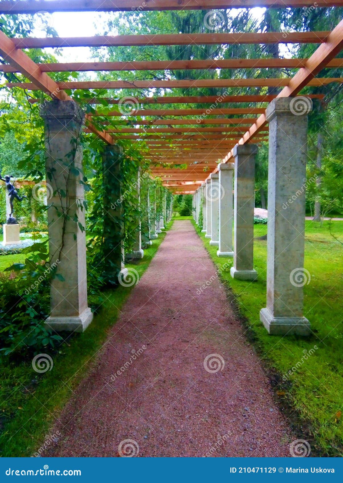 Column path in a park stock image. Image of column, jungle - 210471129
