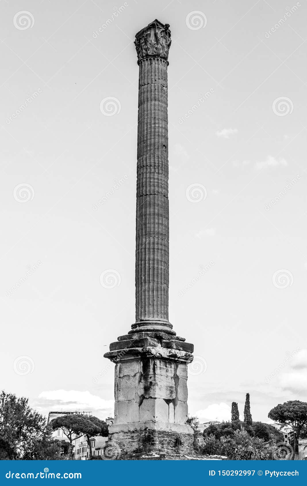 Column of Phocas in Roman Forum Archeological Site, Rome, Italy Stock ...