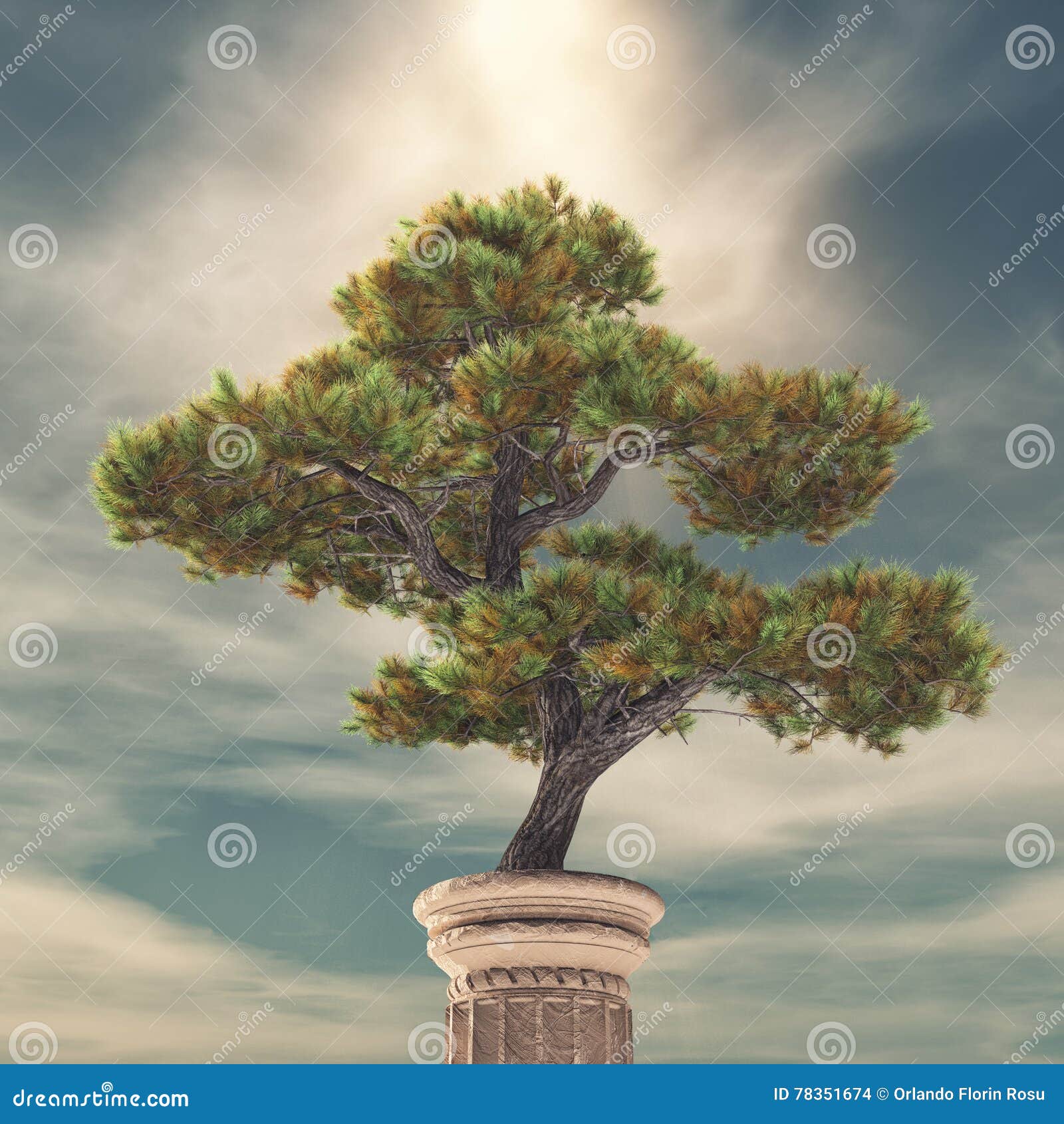 Column and a pine tree stock illustration. Illustration of glory - 78351674