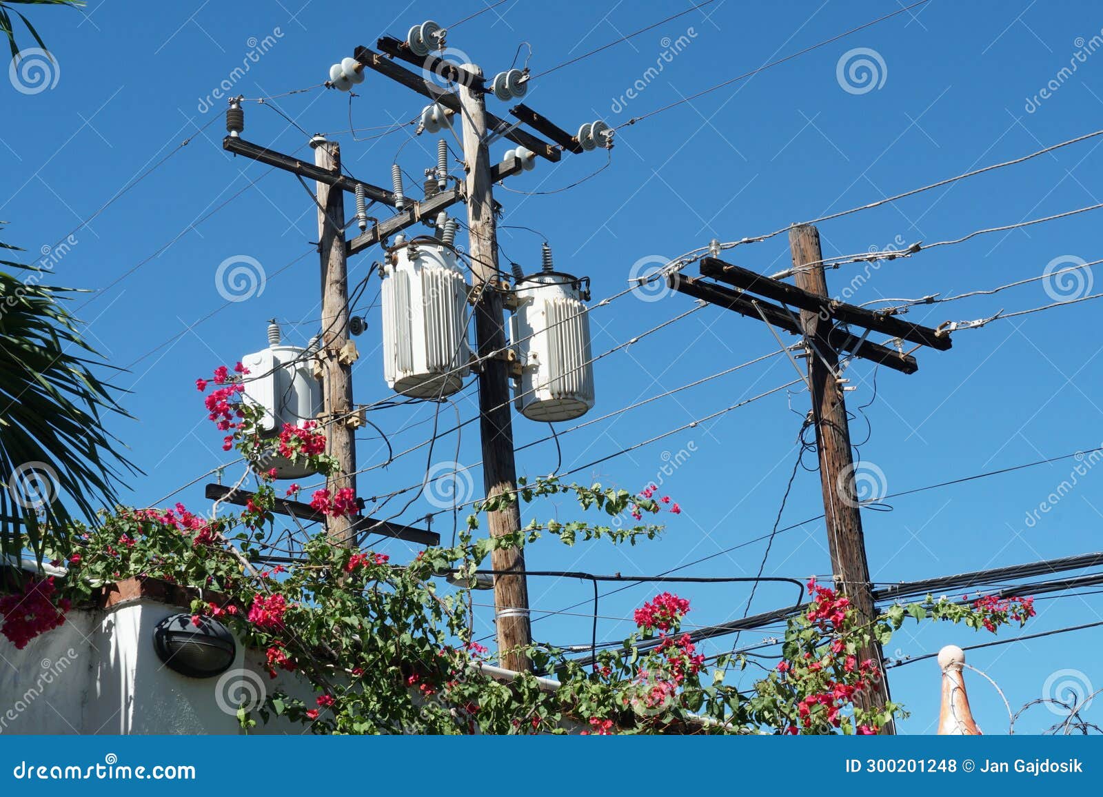 Column or Post As a Utility Pole with a Single-phase Distribution ...