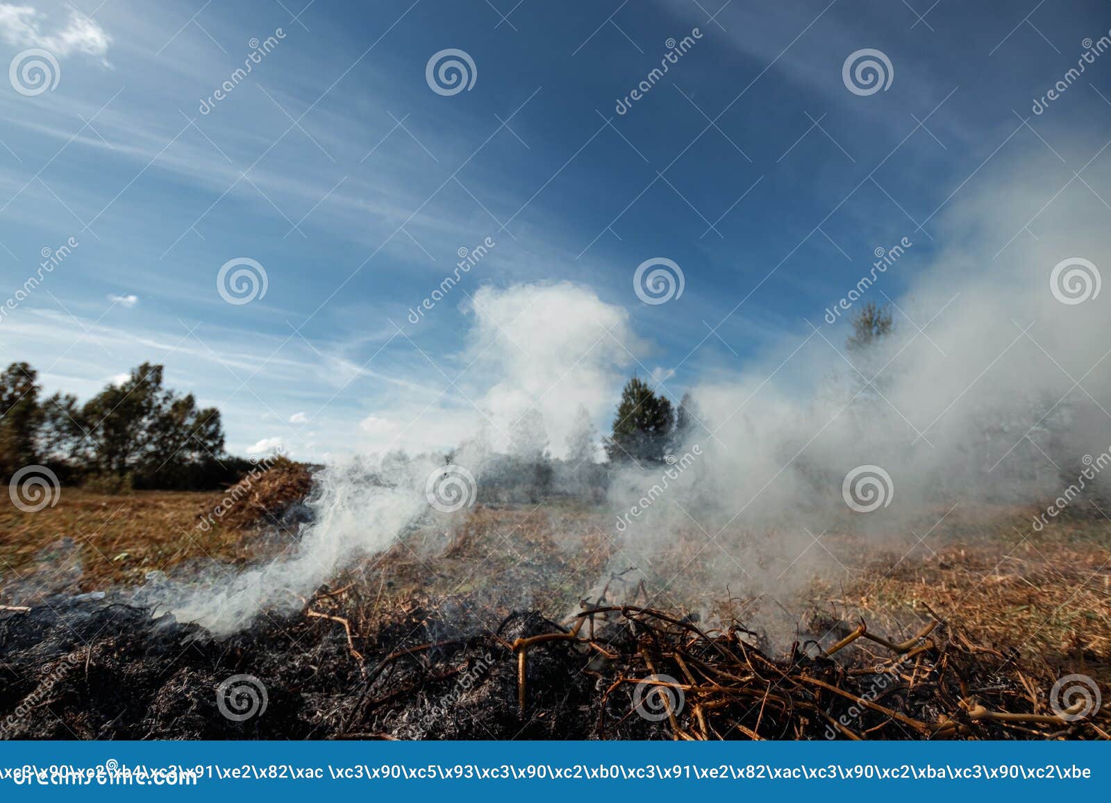 A Column of Smoke in the Field, Fires, Fire in Nature, the Destruction ...