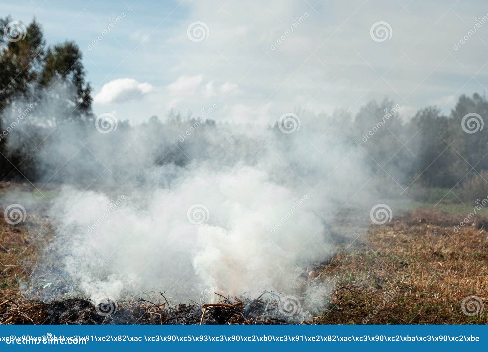 A Column of Smoke in the Field, Fires, Fire in Nature, the Destruction ...