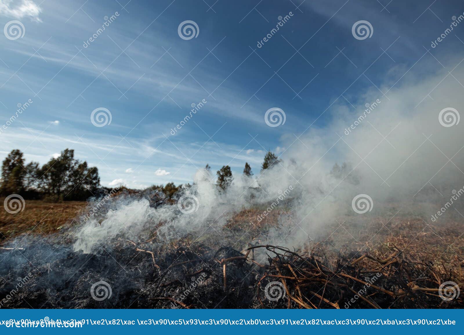 A Column of Smoke in the Field, Fires, Fire in Nature, the Destruction ...
