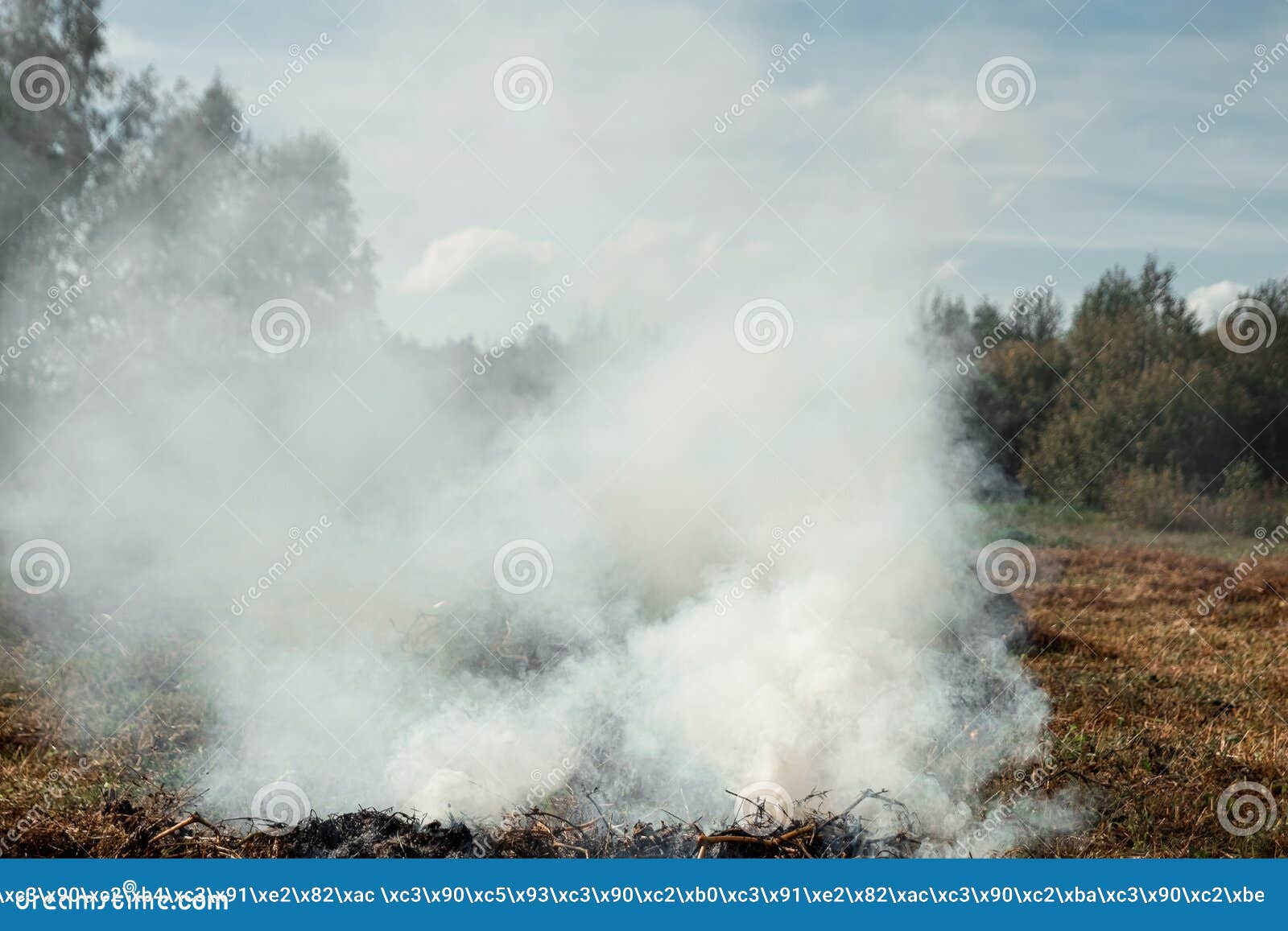 A Column of Smoke in the Field, Fires, Fire in Nature, the Destruction ...