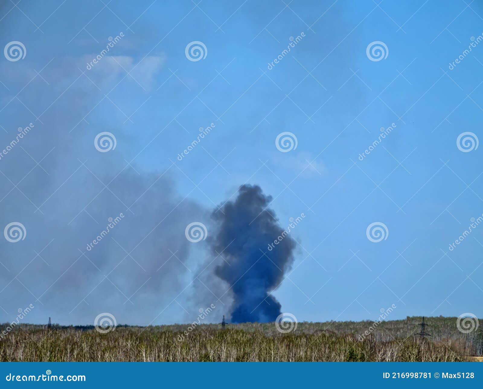 Column of Smoke Rises into Sky in Firest Stock Image - Image of smoke ...