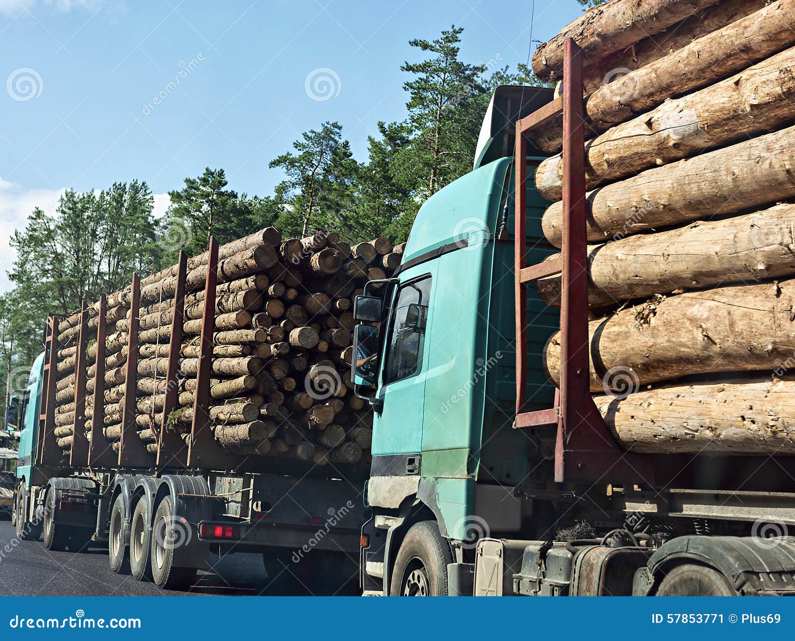 Column Timber Trucks with Logs Moving on the Road Stock Image - Image ...