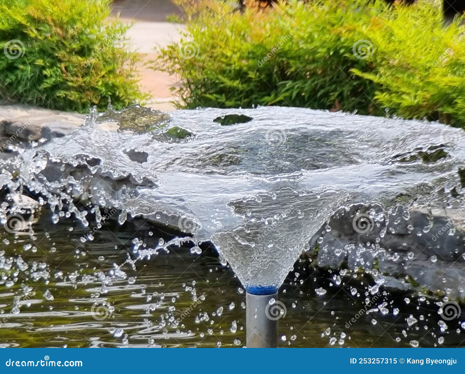 A Column of Water Swirling Up from the Pond Stock Image - Image of pond ...