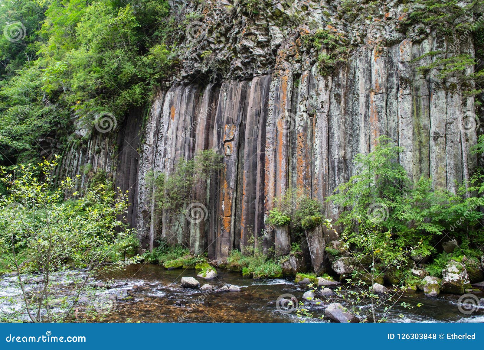 139 Columnar Joint Photos - Free & Royalty-Free Stock Photos from ...