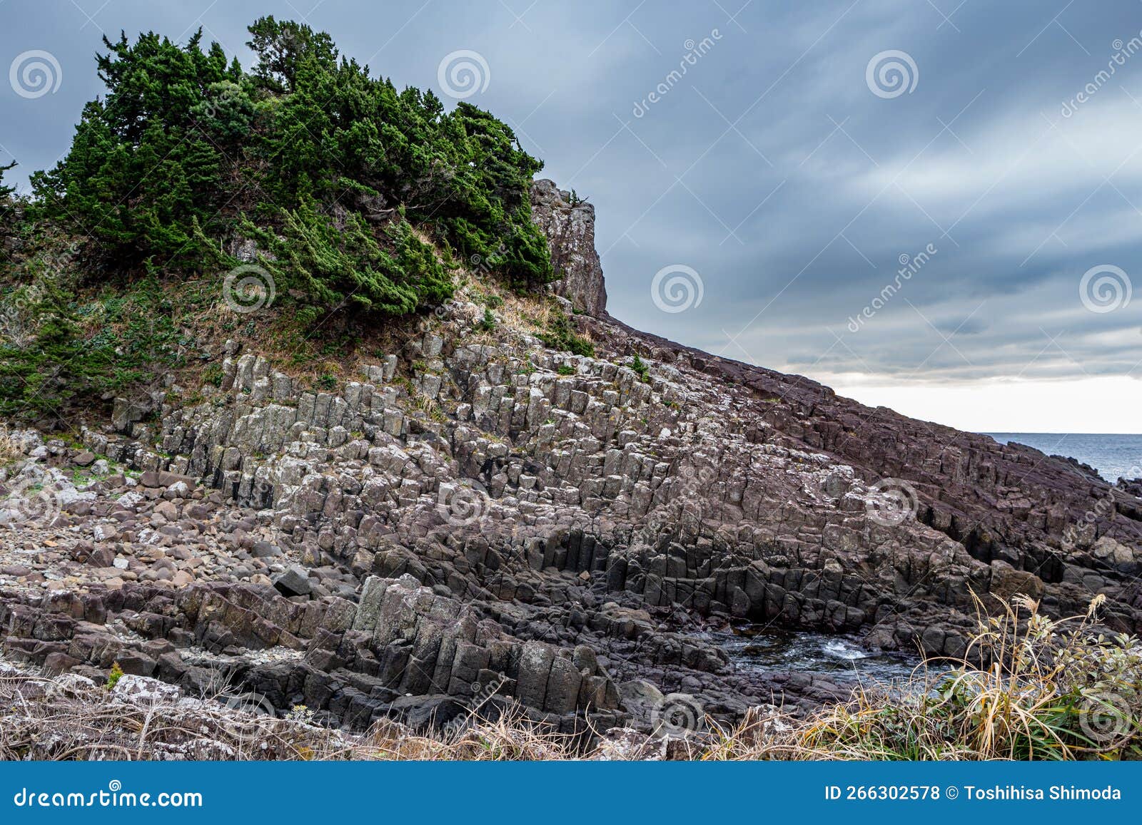 Scenery of Columnar Joints on the Izu Coast. Stock Photo - Image of ...