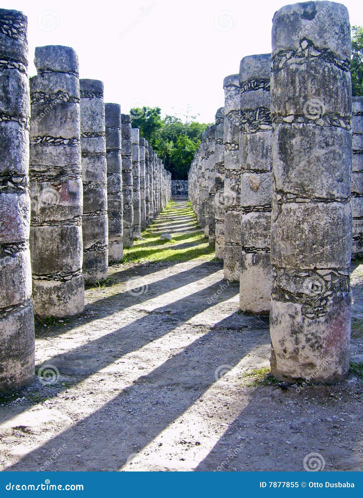 Columnas Antiguas Del Maya En Chichen Itza Imagen de archivo - Imagen ...