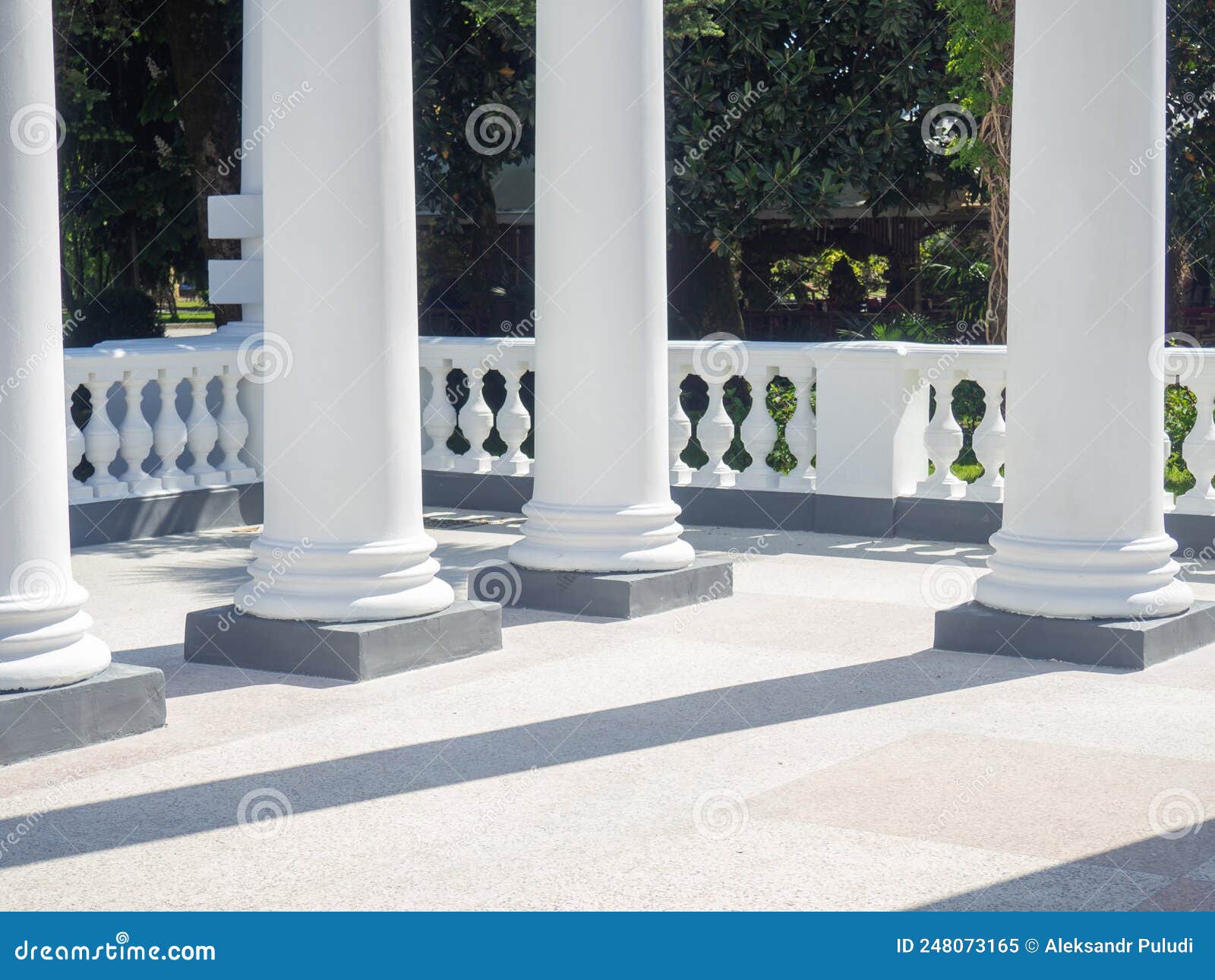 Columnas Blancas. Arquitectura Moderna. Edificio Del Parque. Anticuario ...