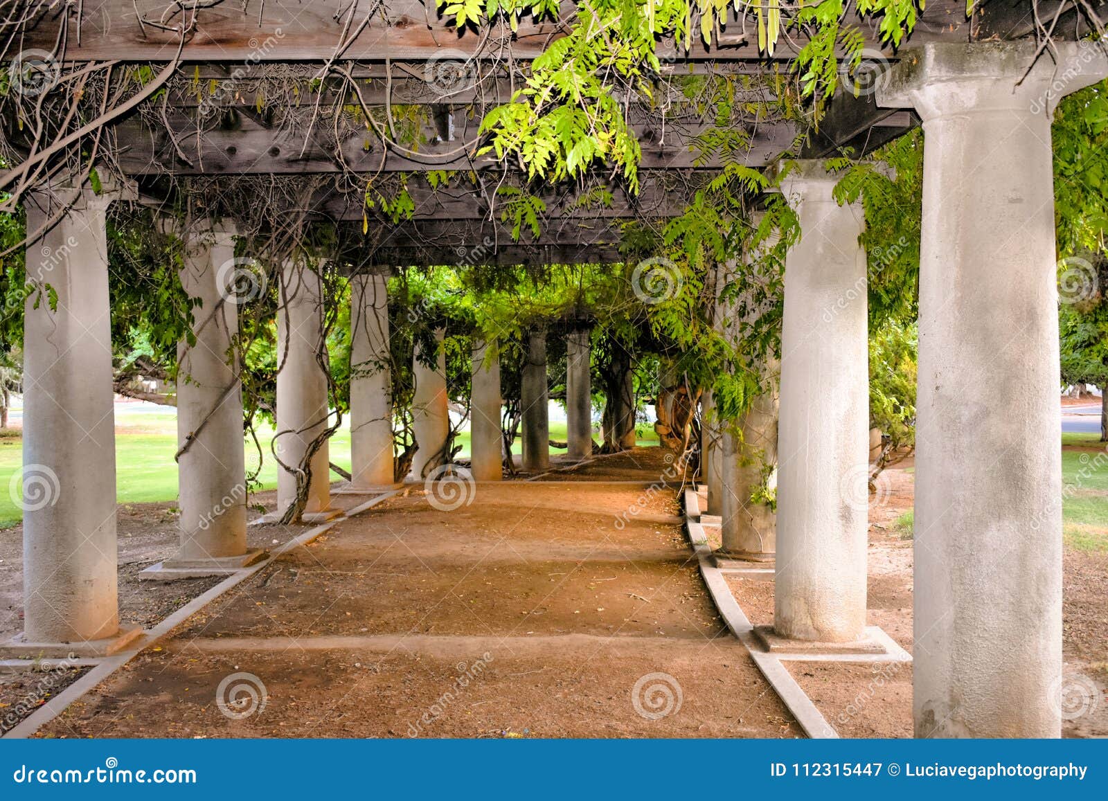 Columnas en el parque imagen de archivo. Imagen de cubierto - 112315447