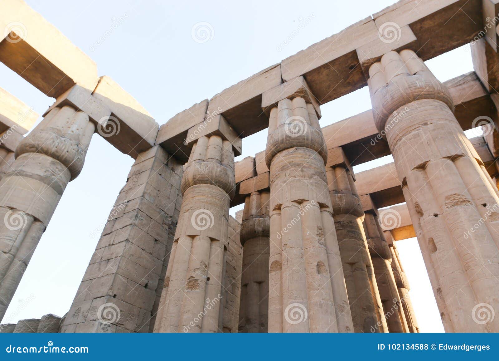 Columnas Enormes Como Flor De Loto Luxor Temple Foto de archivo ...