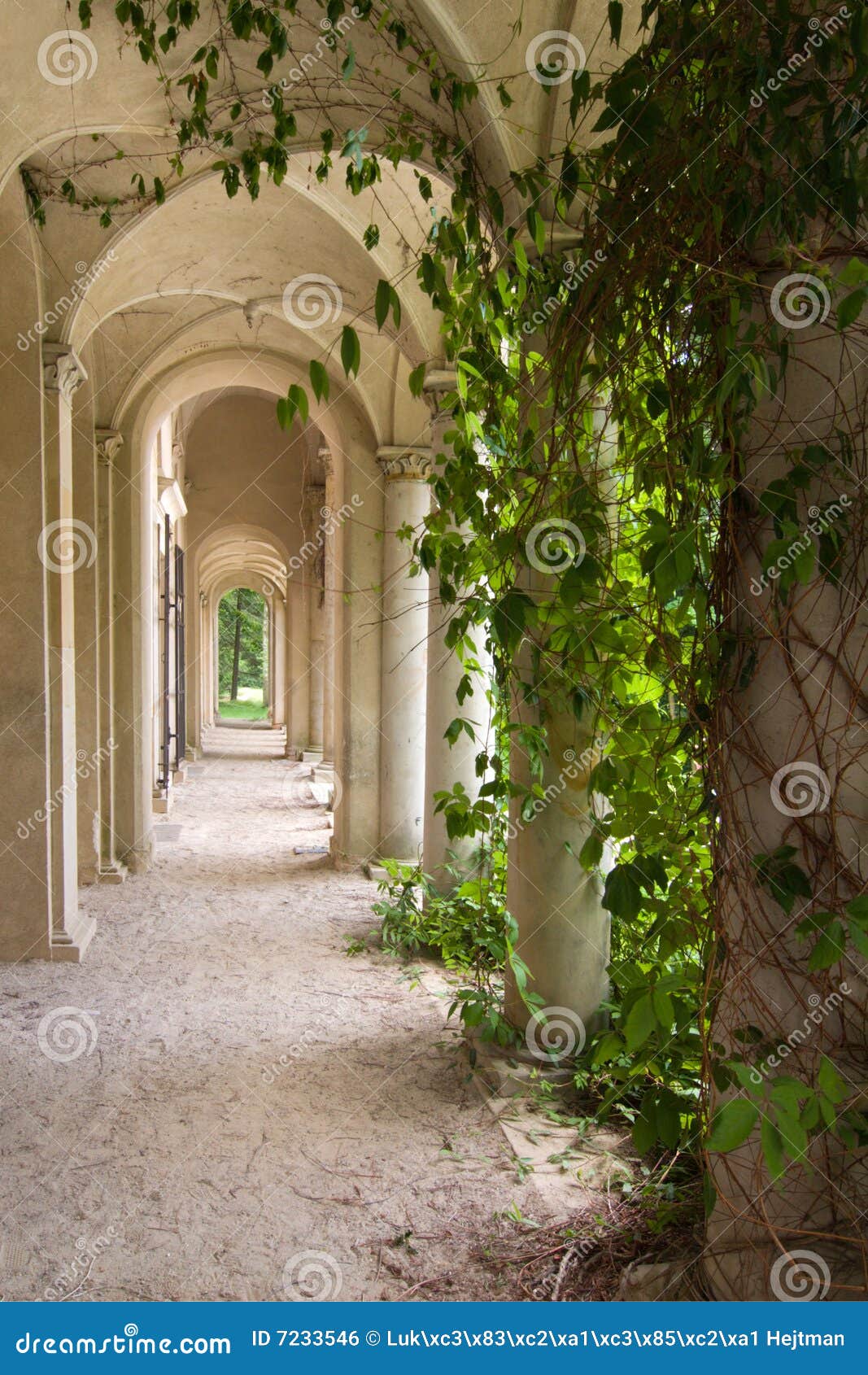 Columnas y arcos foto de archivo. Imagen de arbusto, paso - 7233546
