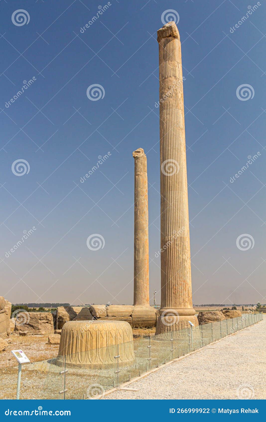 Columns of Apadana Palace in the Ancient Persepolis, Ir Stock Photo ...