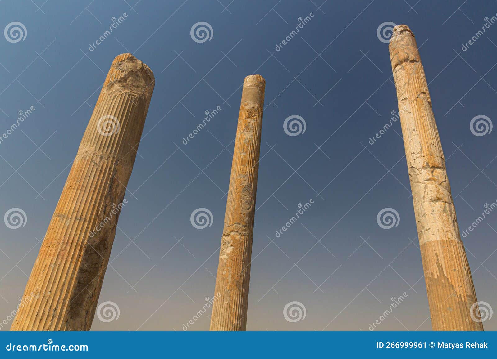 Columns of Apadana Palace in the Ancient Persepolis, Ir Stock Image ...