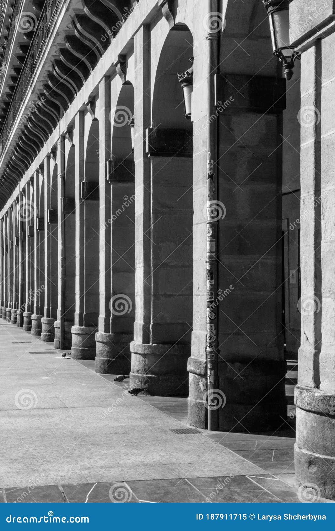 The Rhythm in the Composition of Photography on the Example of Columns ...