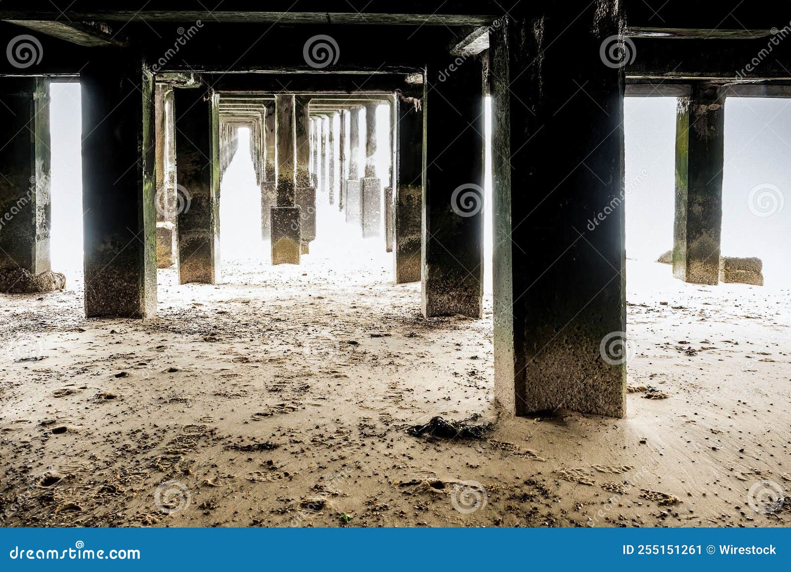Columns of a Bridge on a Beach Stock Image - Image of architecture ...