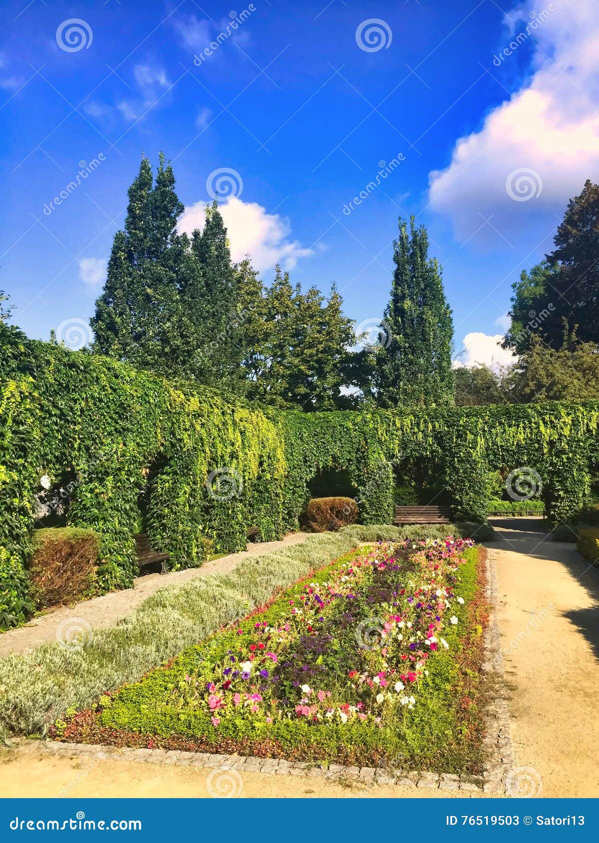 Columns grown by ivy stock image. Image of bush, leaf - 76519503