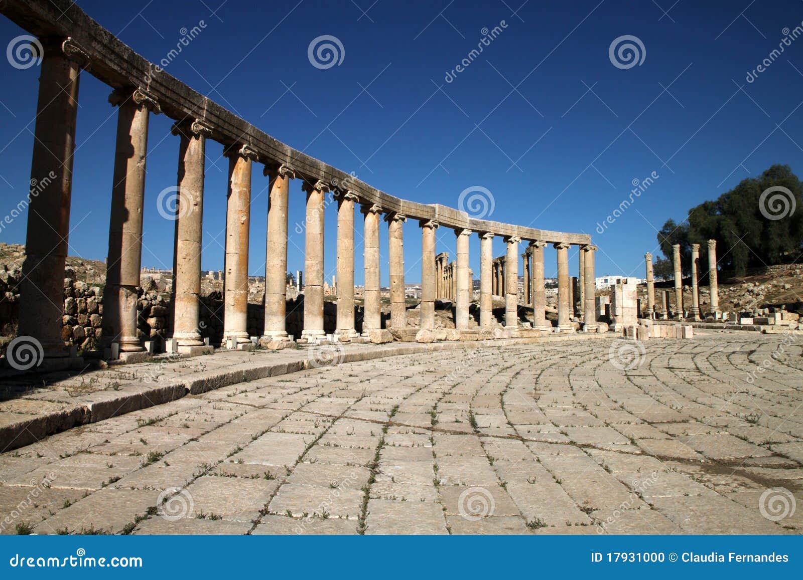 Columns in Jerash, Jordan stock photo. Image of petra - 17931000