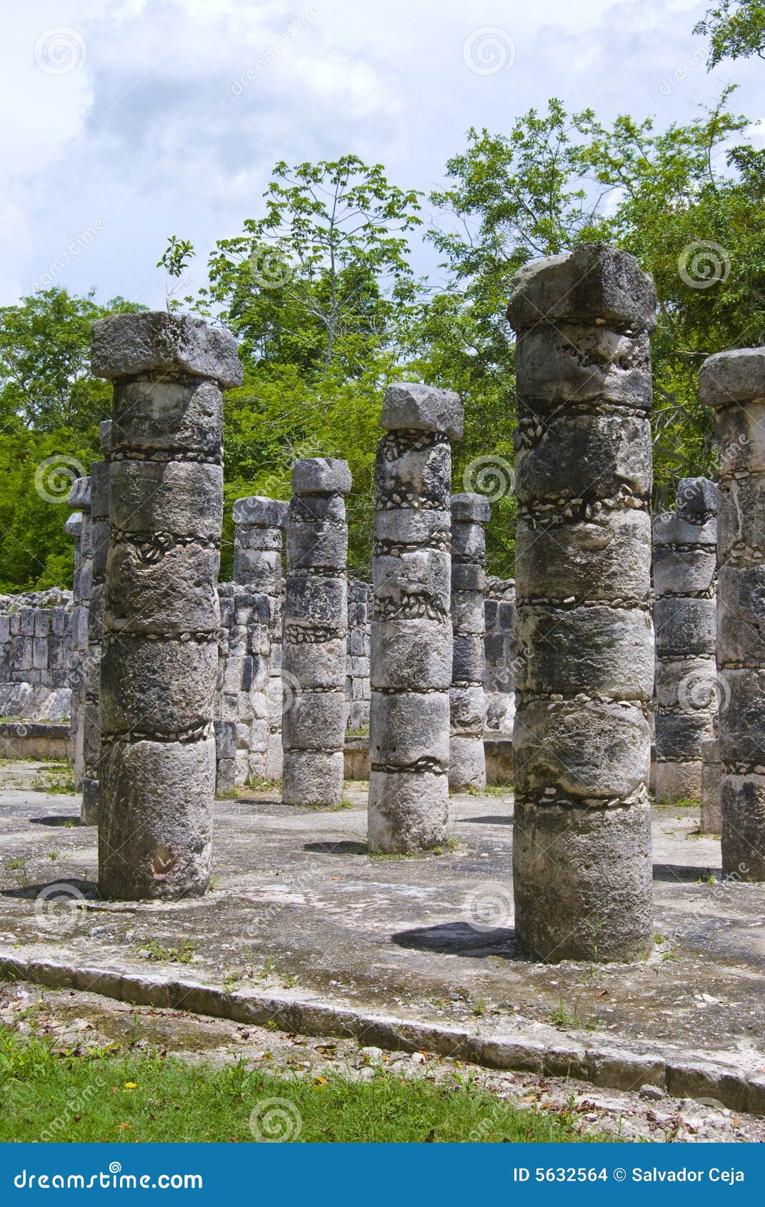 Columns Mexico stock photo. Image of central, building - 5632564