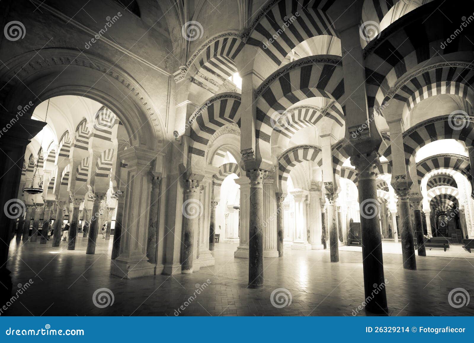 Columns of the Mezquita Mosque Stock Photo - Image of city, closeup ...