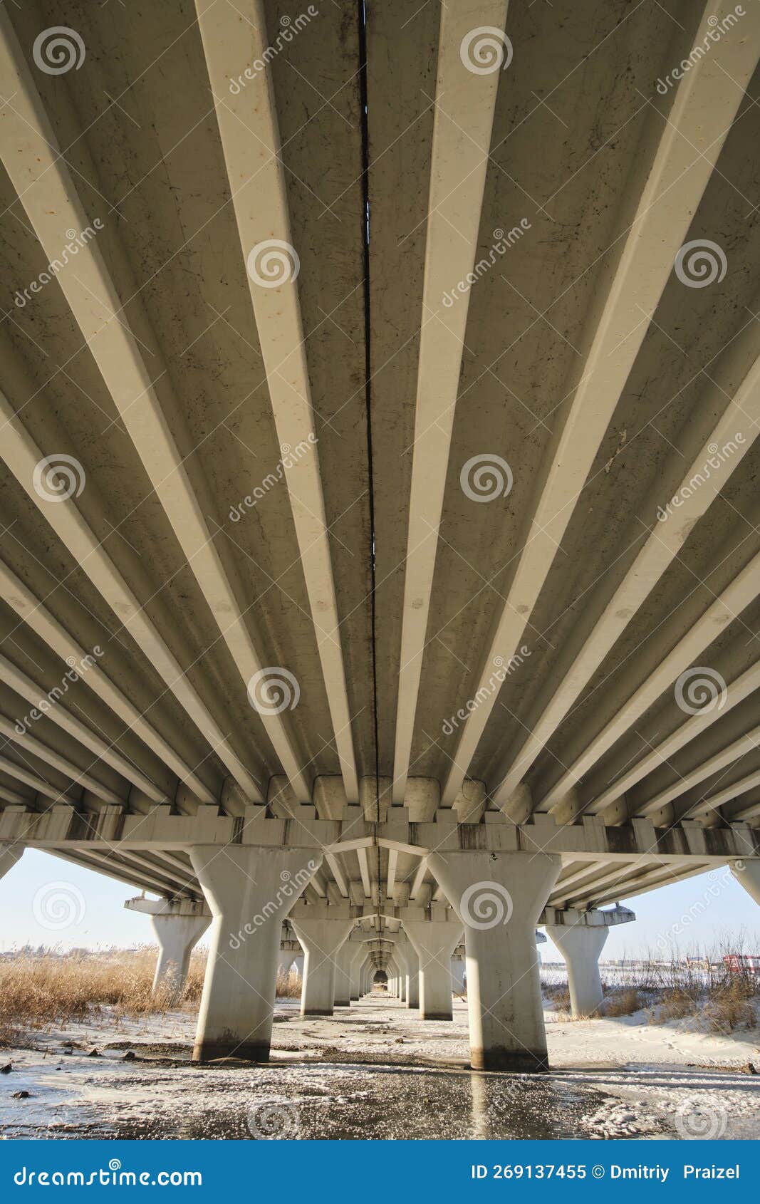 Columns Motor Vehicle Bridge and Smooth Lines Roadway. Stock Image ...