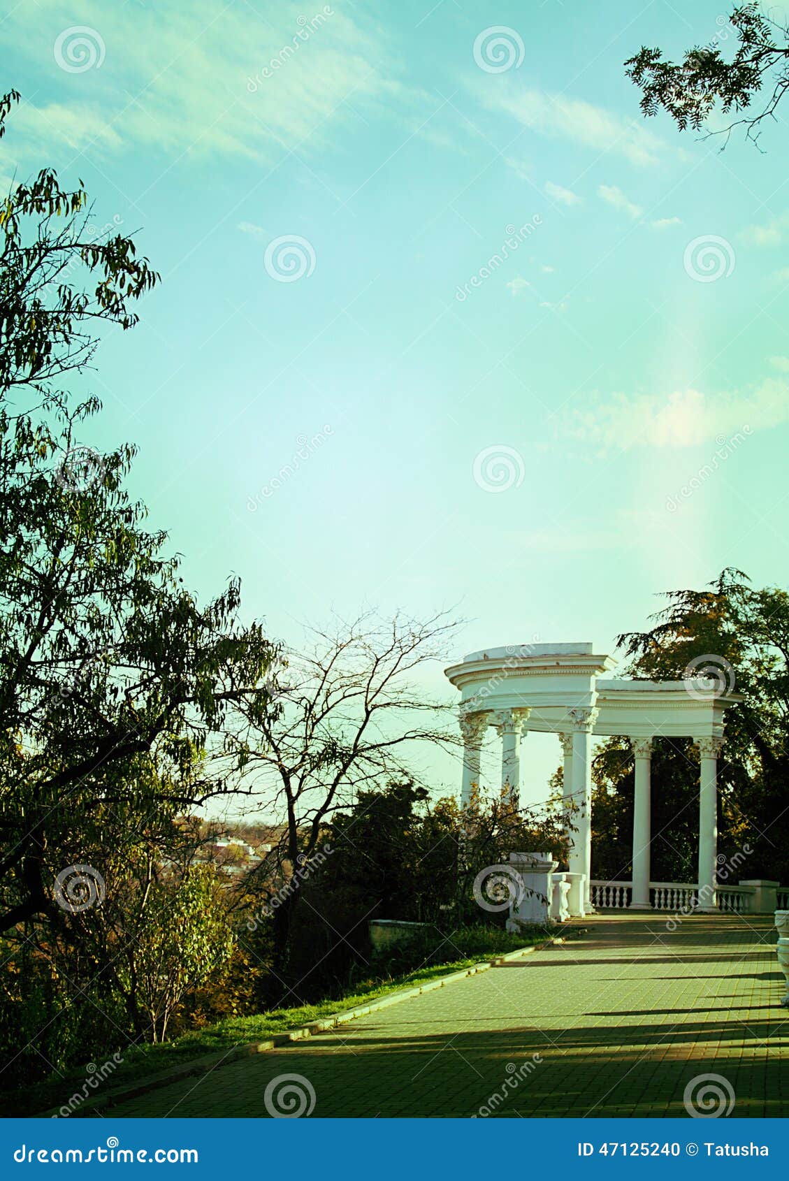 Columns in park. stock photo. Image of paths, fall, park - 47125240