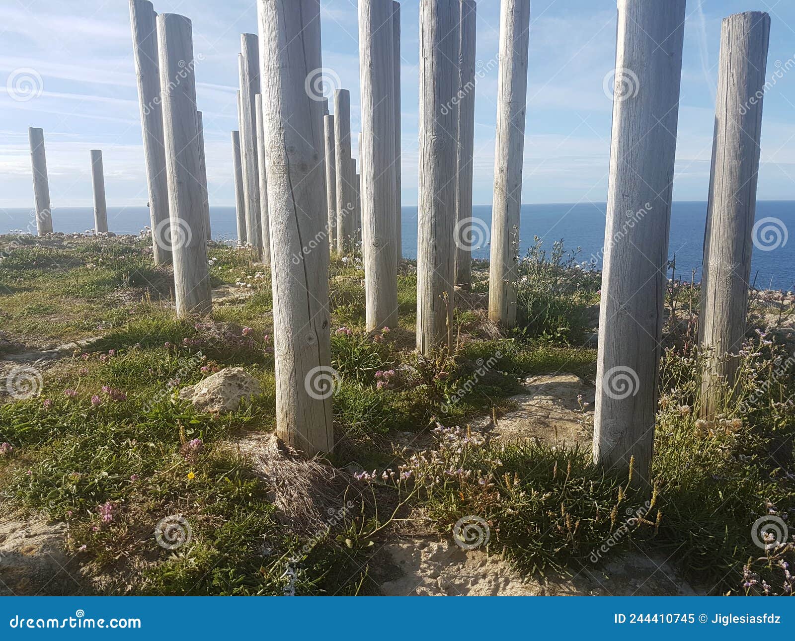Wood columns in the cliff stock image. Image of columns - 244410745