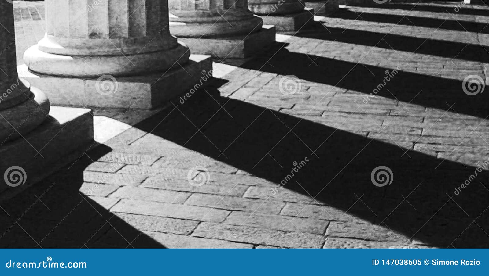 Shadows stock image. Image of abstract, theatre, palm - 147038605