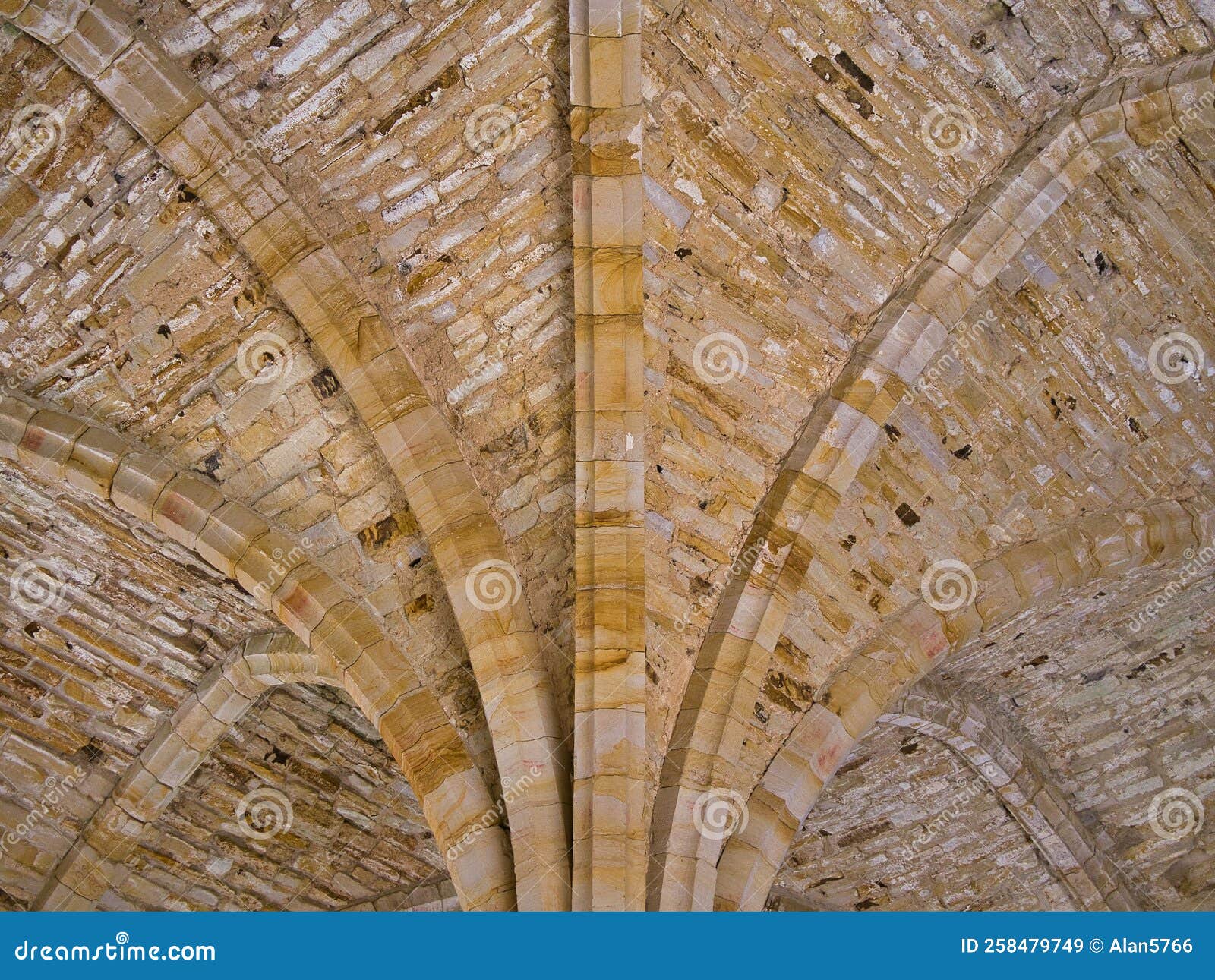 Columns and Stonework in a Gothic Limestone Vaulted Ceiling Editorial ...