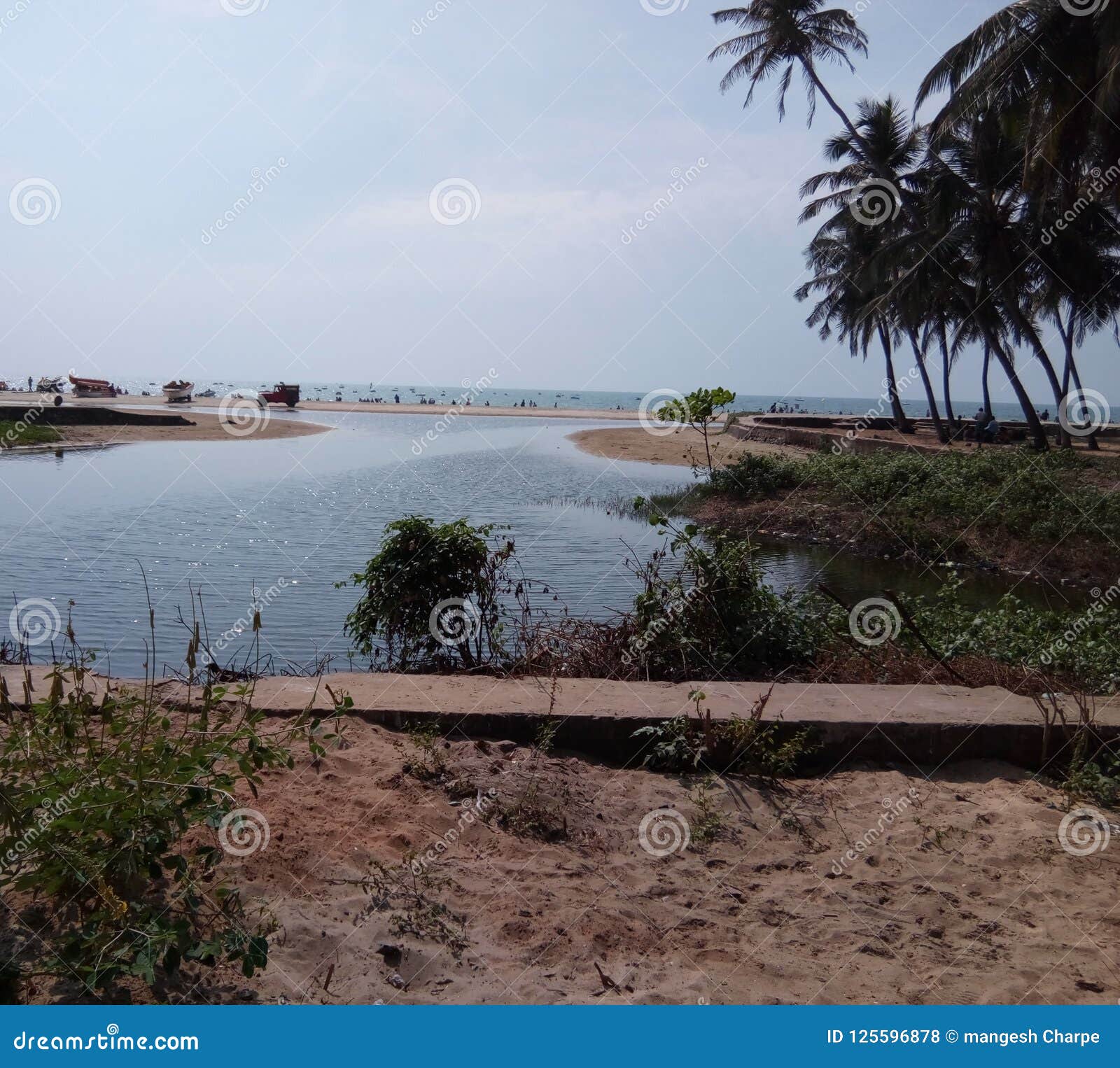 Colva beach South goa stock photo. Image of south, tree - 125596878