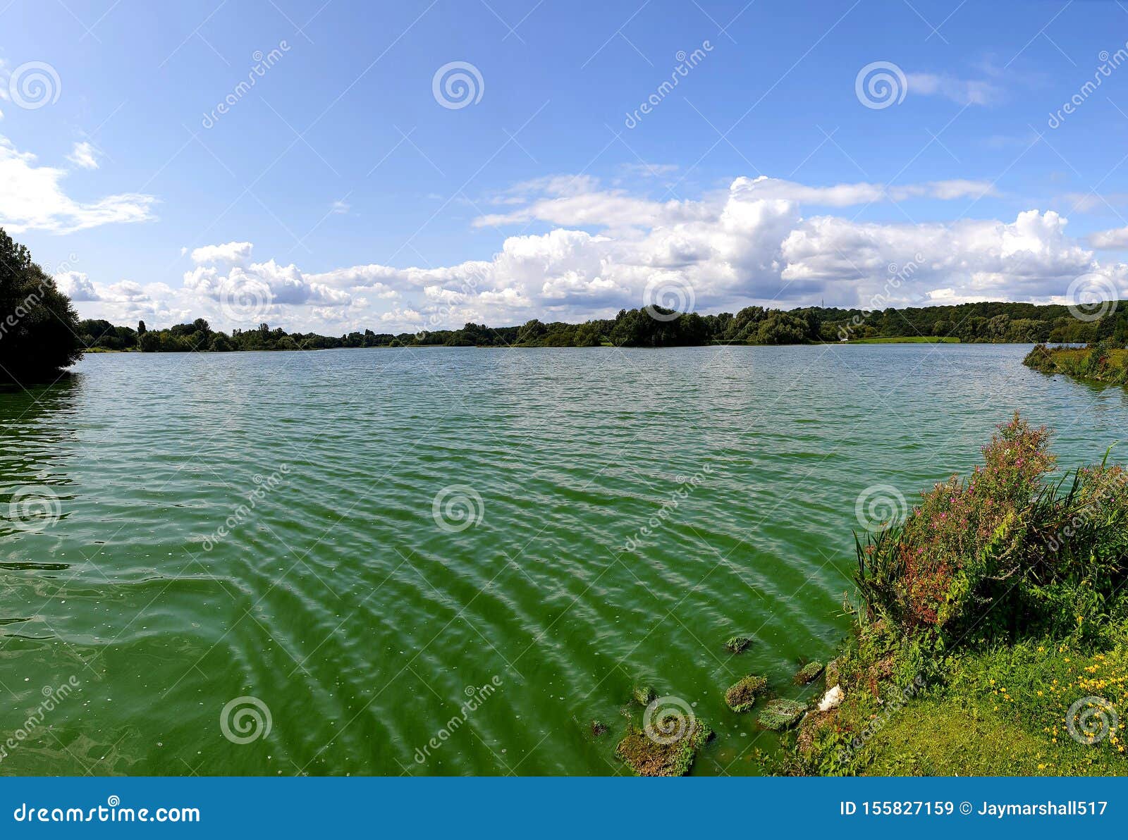 Colwick lake stock image. Image of lake, colwick, nature - 155827159