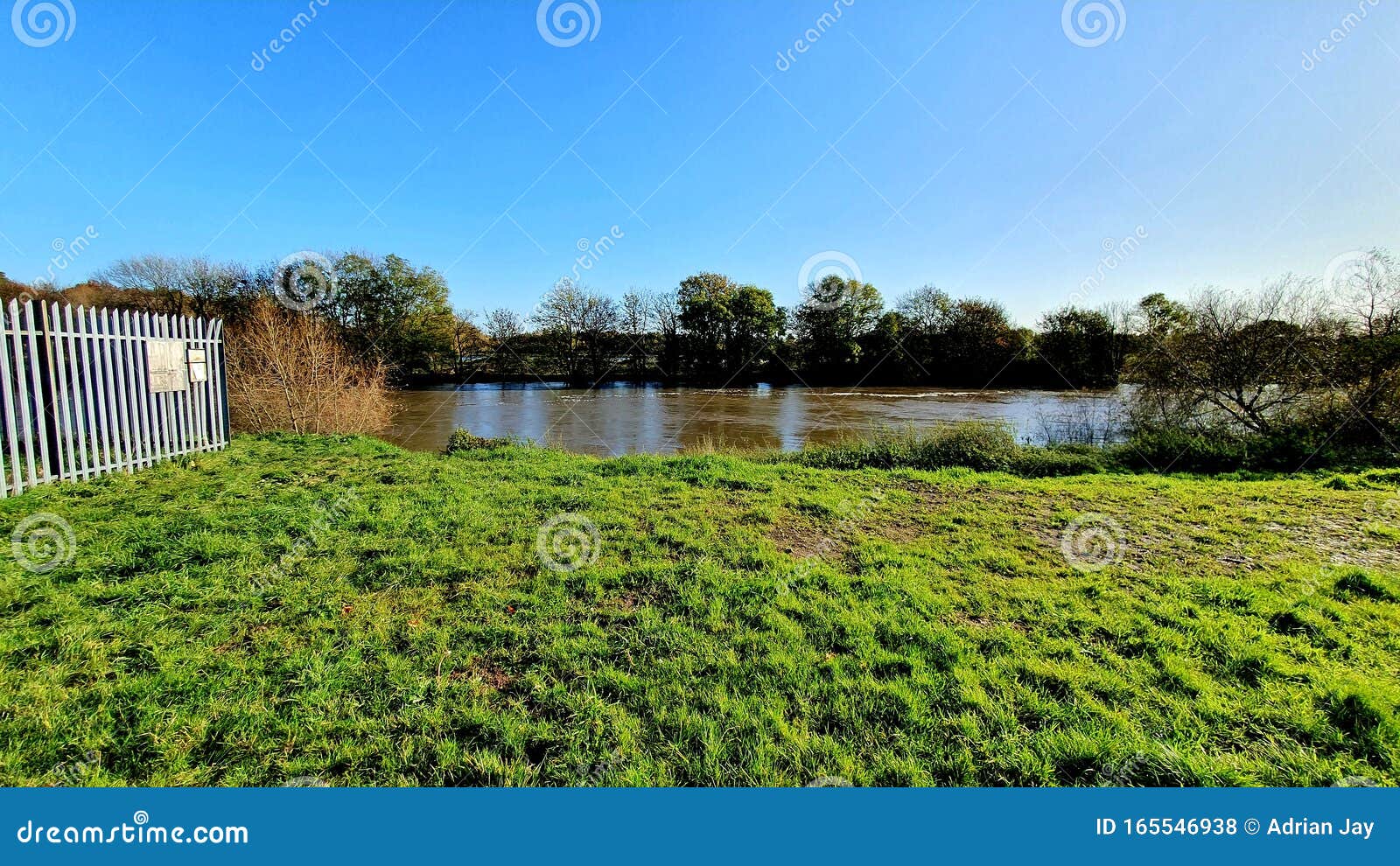 Colwick Park stock photo. Image of colwick, nature, park - 165546938