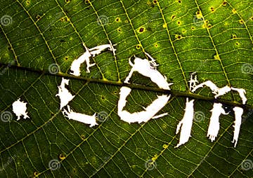 .com stock image. Image of adresses, concepts, computer - 2089219