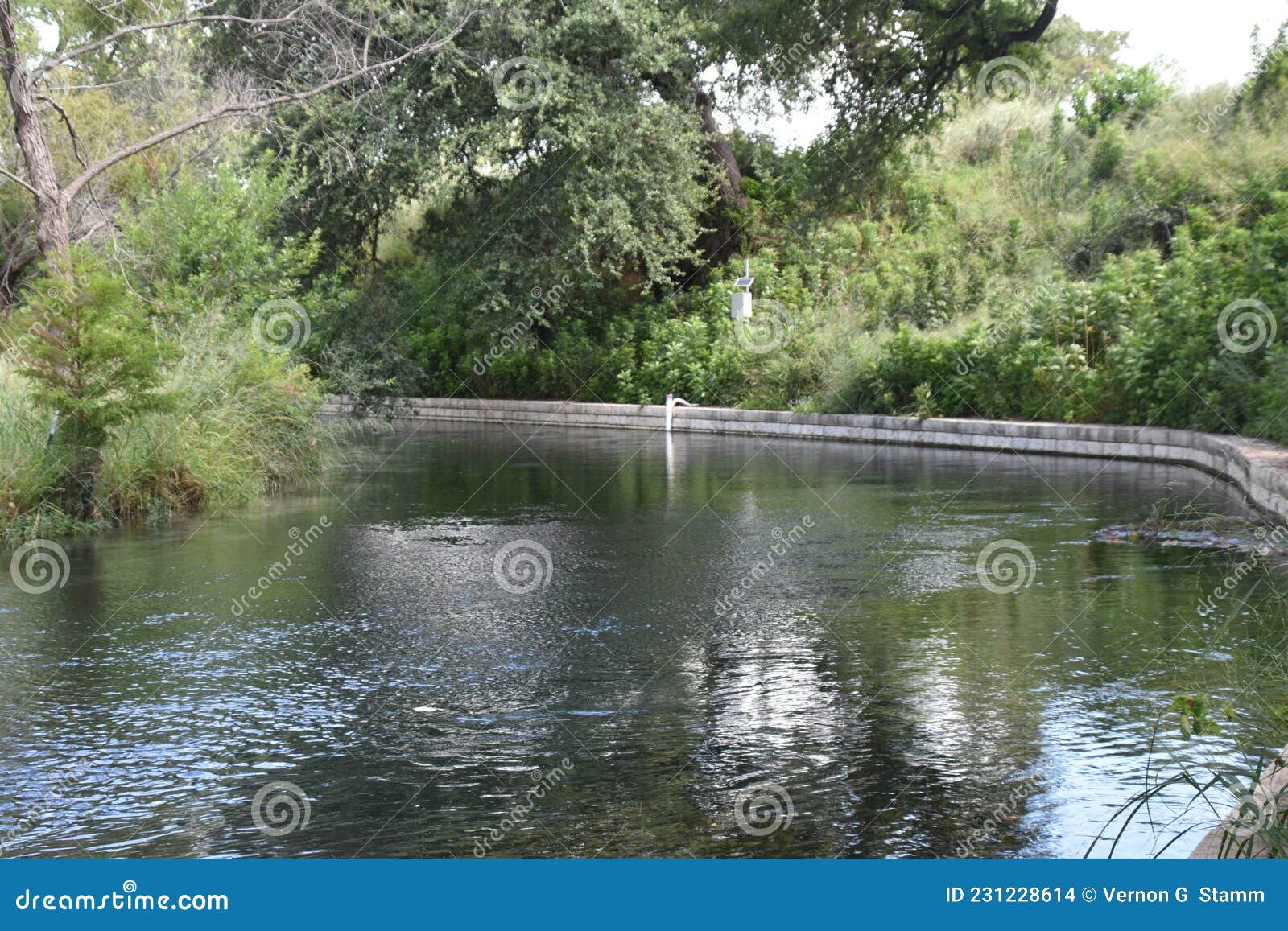 Comal Springs River stock photo. Image of river, texas - 231228614