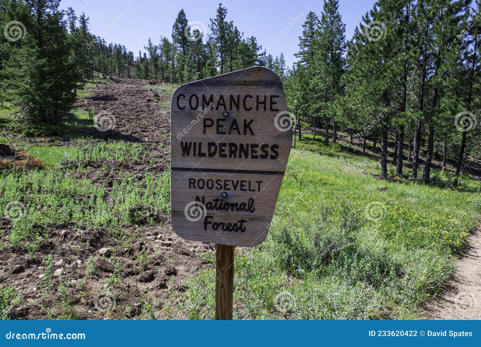 Comanche Peak Wilderness Sign in Roosevelt National Forest Stock Photo ...